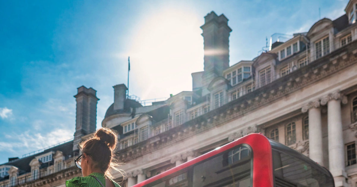 Tusk Turtle Trail | Art of London